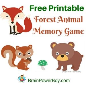 Cute Forest Animal Memory Game - Brain Power Family