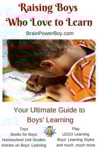Ultimate Guide to Boys' Learning - Brain Power Family