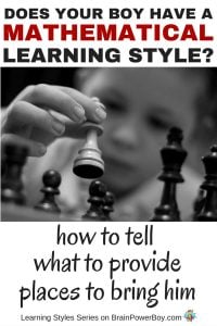 Does Your Boy Have a Logical-Mathematical Learning Style? - Brain Power ...