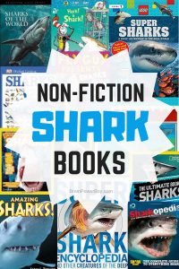 12 Awesome Non-Fiction Shark Books (The Very Best Ones!)